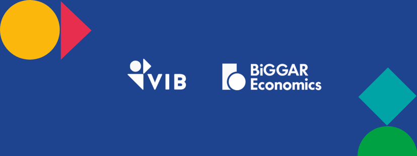 VIB Investors
